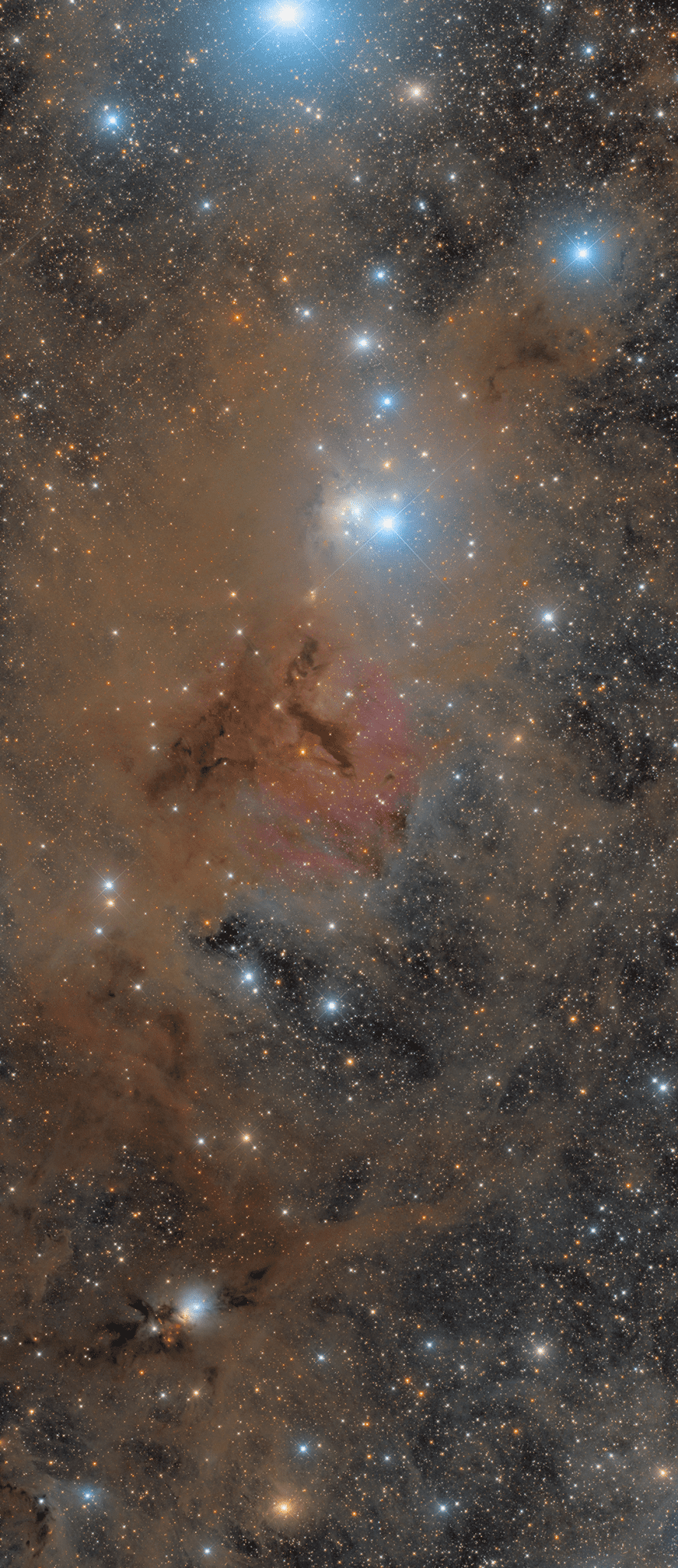 QHY268M & QHY268C Astronomy Cameras | QHYCCD